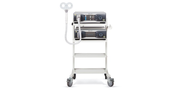 Paired pulse TMS system